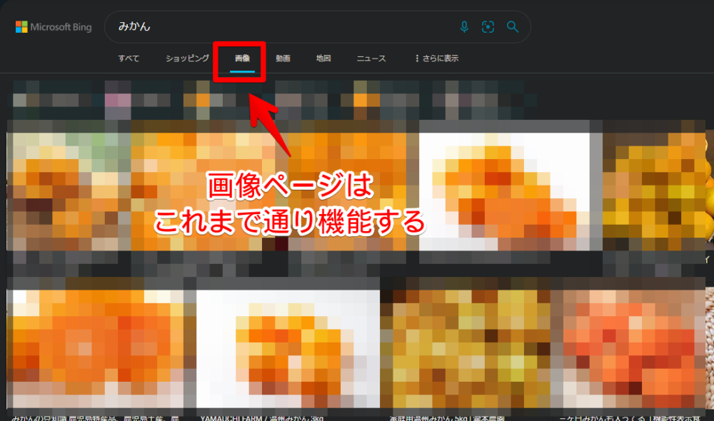 【Bing】検索結果の途中にある「画像」を非表示にする方法 | ナポリタン寿司のPC日記